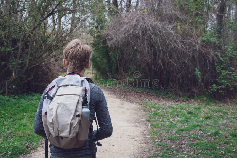 Young Hiker ,following Path in Woods Stock Image - Image of adult ...