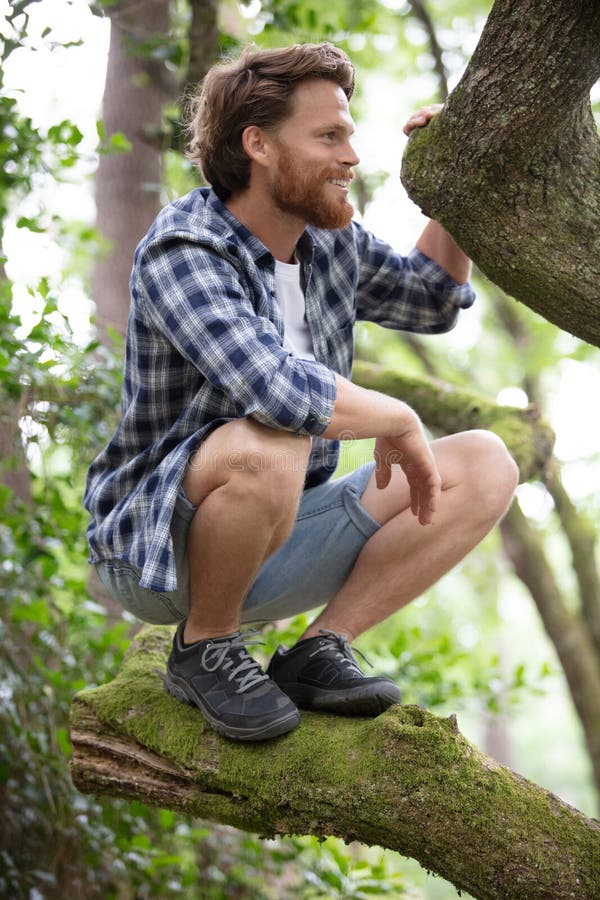 Young Hiker Sitting on Tree Branch Stock Image - Image of environment ...
