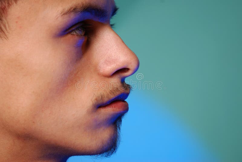 Young Hispanic Male Profile Stock Image - Image of young, puerto: 2278073