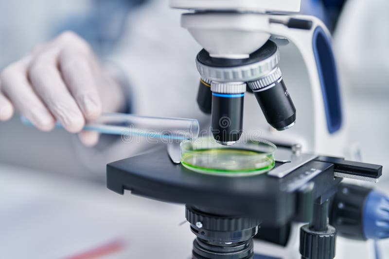 Young Hispanic Man Scientist Using Microscope at Laboratory Stock Image ...