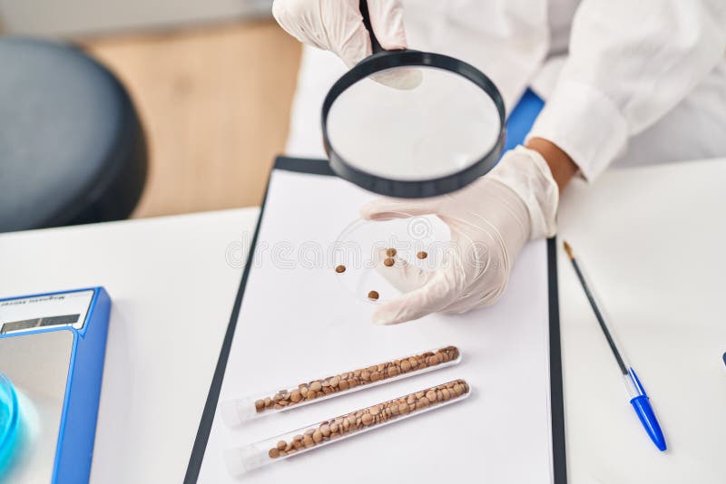 Young Hispanic Woman Scientist Looking Sample Using Loupe at Laboratory ...