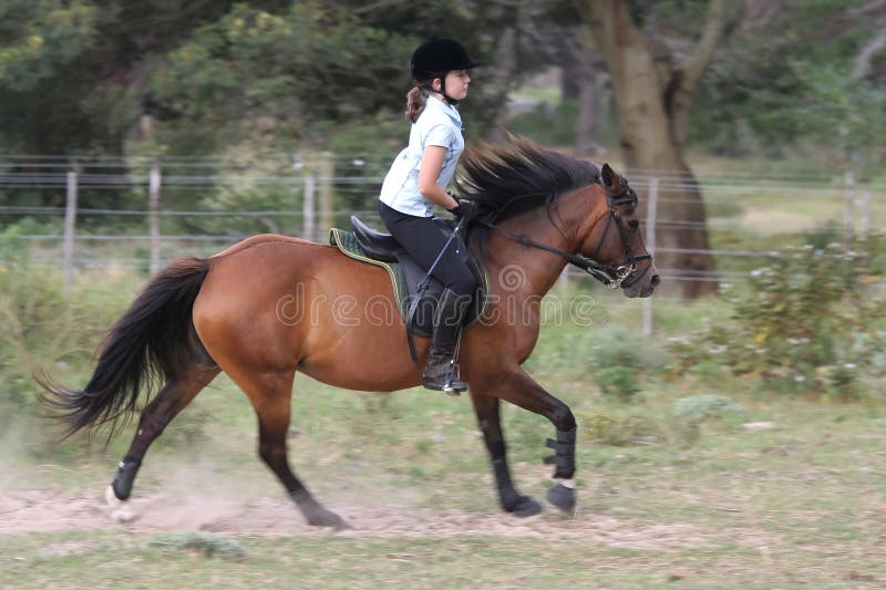 Young Horse Rider stock image. Image of dust, teenager - 4083029