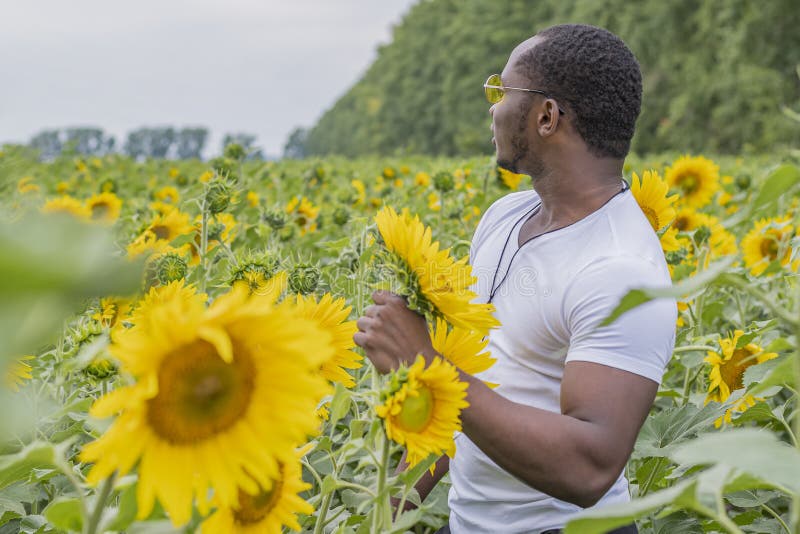 Sexy Man Sunflower Stock Photos - Free & Royalty-Free Stock Photos from ...