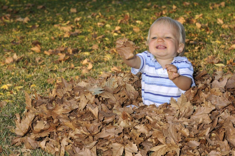 Young infant stock image. Image of amusing, male, happy - 7384343