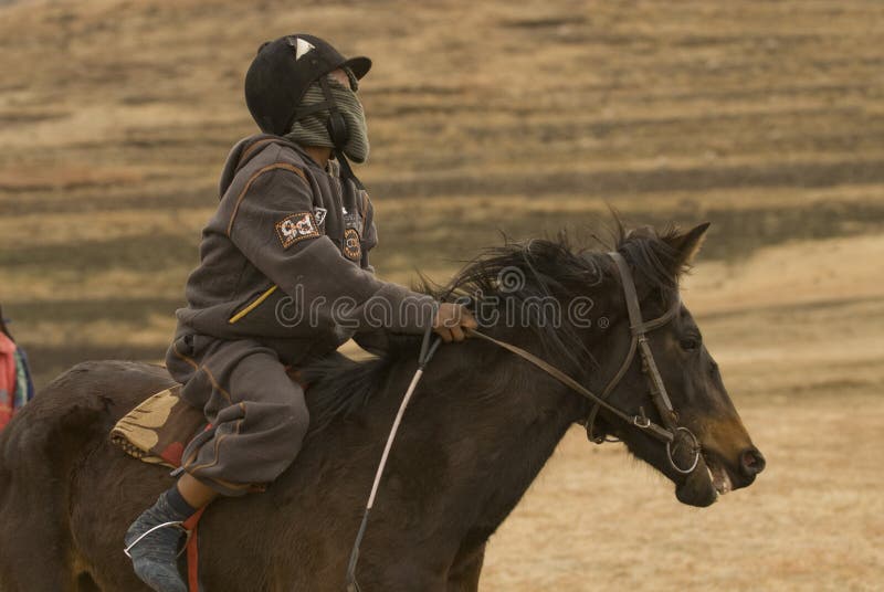 Young Jockey and Horse at the Races. Editorial Photo - Image of blanket ...