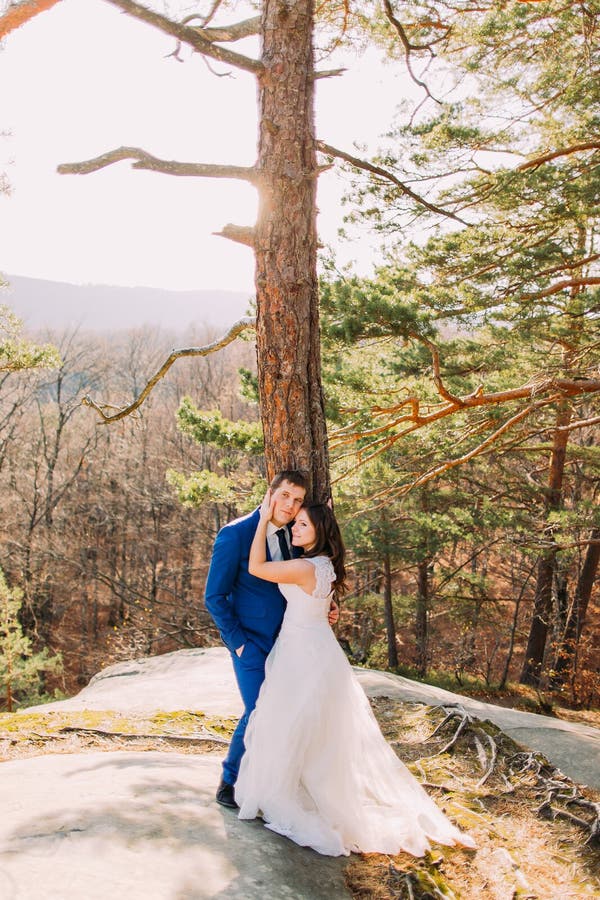 Young Just Married Couple Posing Under Pine Tree. Marvelous Mountain ...