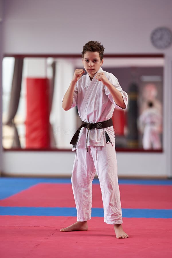 Young Karate Student Executing a Kata Stock Image - Image of dojo ...