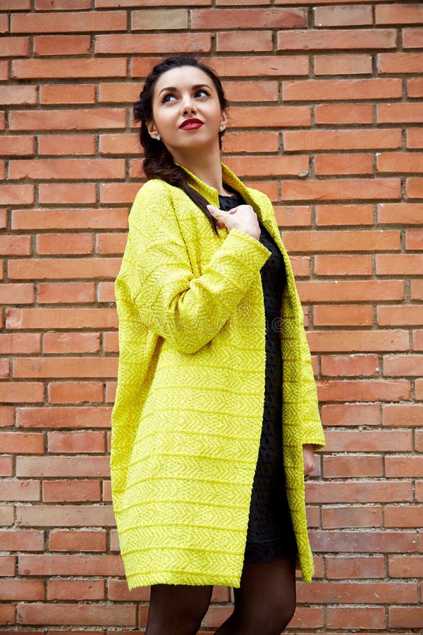 Young Lady in Front of a Brick Wall Stock Image - Image of dress ...