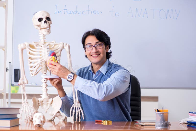 The Young Lecturer Teacher Teaching Anatomy Stock Photo - Image of ...