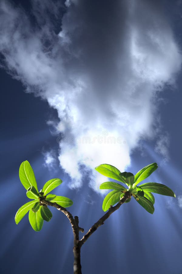 Young life stock image. Image of lifestyles, sunlight - 5639227