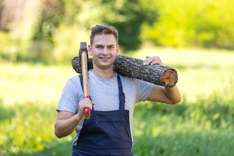 Cutting trees stock image. Image of people, industry - 160796625