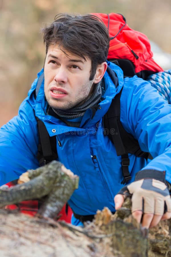Young Male Backpacker Hiking In Forest Stock Photo - Image of 2529 ...