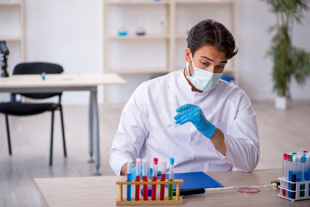 Young Male Chemist Working at the Lab Stock Image - Image of chemical, analyzing: 262134115