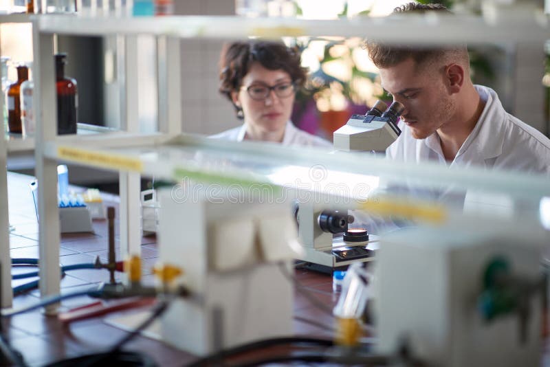 A Young Male Chemistry Student Looking through a Microscope in a ...