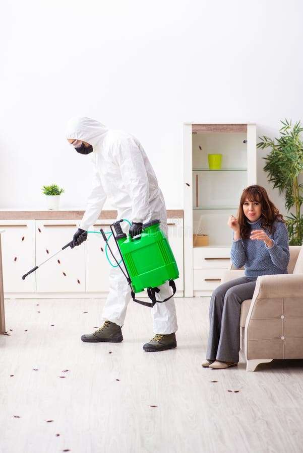Young Male Contractor and Female Client during Pest Control Stock Photo ...