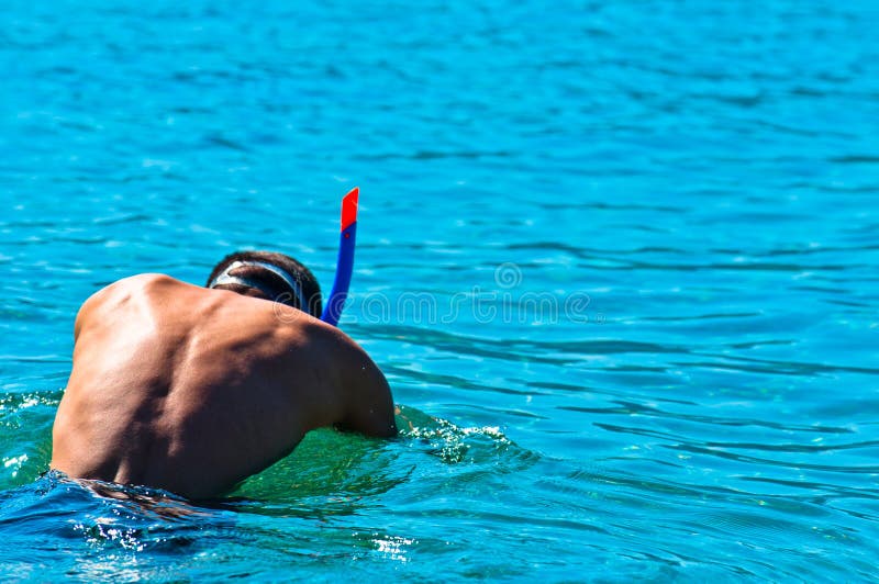 Young male diving stock photo. Image of recreation, funny - 23133350