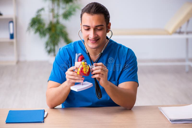 Young Male Doctor Cardiologist Explaining Heart Model Stock Photo ...