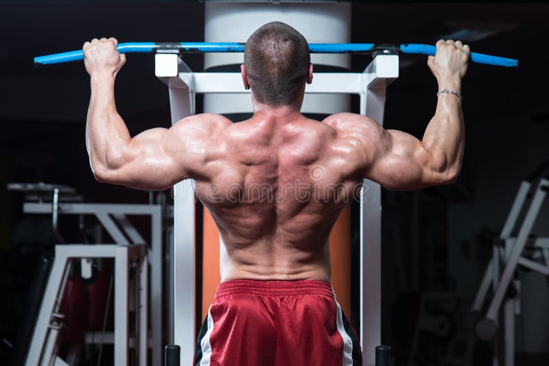 Young Male Doing Back Exercises in the Gym Stock Image - Image of ...