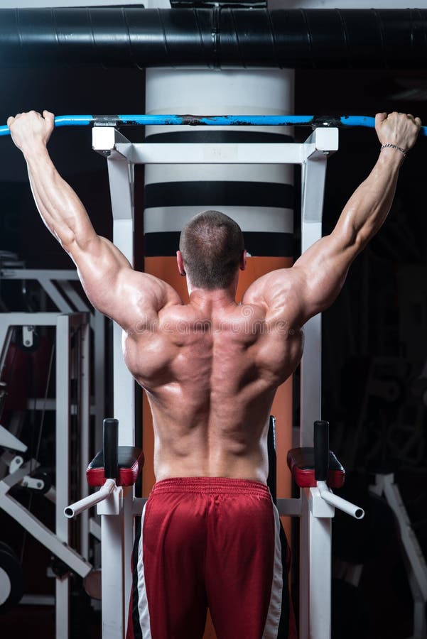 Young Male Doing Back Exercises in the Gym Stock Image - Image of ...