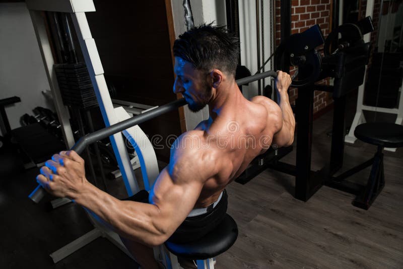 Young Male Doing Back Exercises in the Gym Stock Photo - Image of human ...