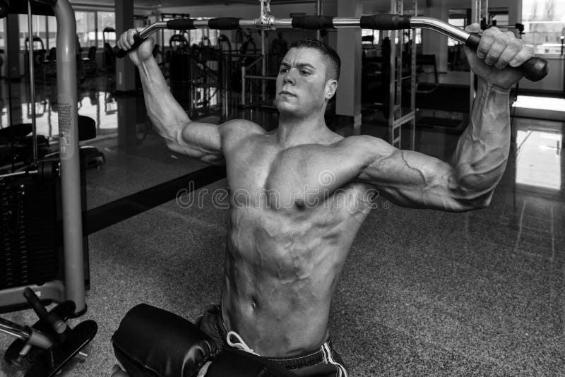 Young Male Doing Back Exercises in the Gym Stock Photo - Image of ...