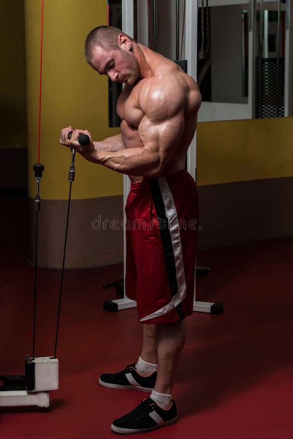Young Male Doing Biceps Exercises in the Gym Stock Image - Image of ...