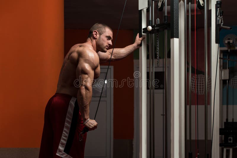 Young Male Doing Triceps Exercises in the Gym Stock Photo - Image of ...