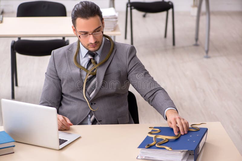 Young Male Employee with Snake in the Office Stock Image - Image of ...