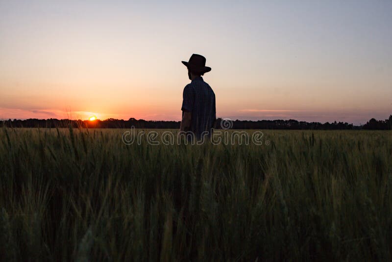 Male Worker in Spring Fields Stock Image - Image of shirt, rancher ...
