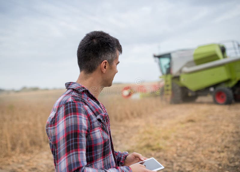 Farmer with Tablet in Field during Harvest Stock Photo - Image of ...