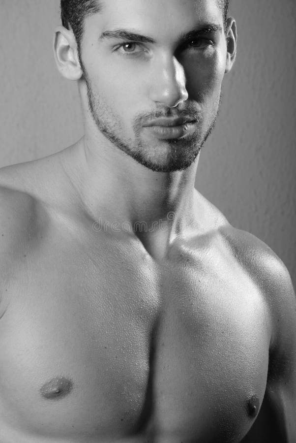Young male model stock image. Image of male, young, torso - 13070889