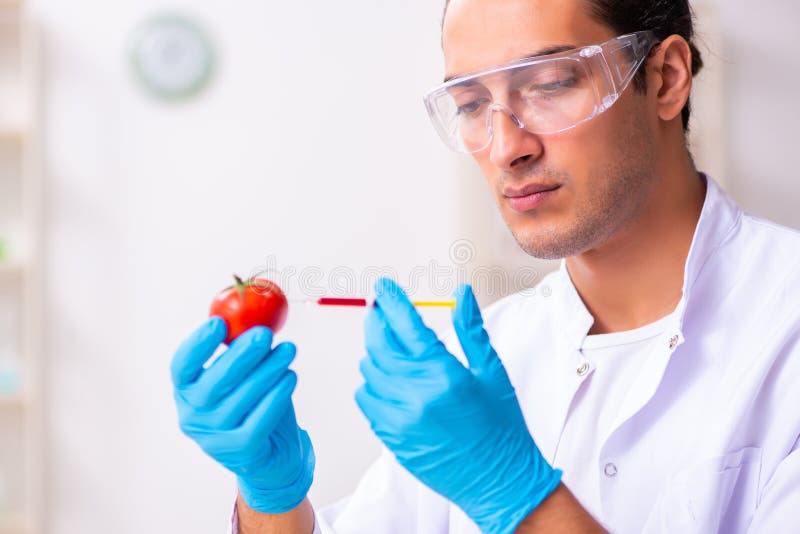Young Male Nutrition Expert Testing Food Products in Lab Stock Image ...