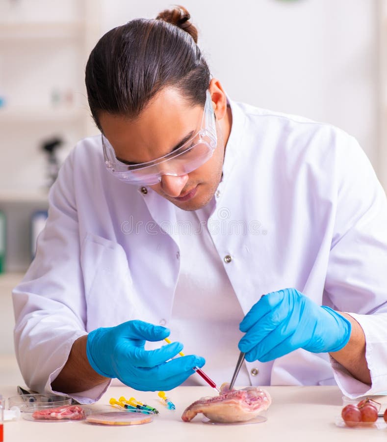 Young Male Nutrition Expert Testing Food Products in Lab Stock Image ...