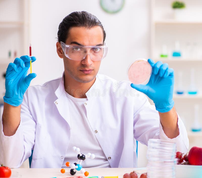 Young Male Nutrition Expert Testing Food Products in Lab Stock Image ...