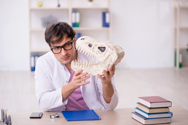Young Male Paleontologist Examining Ancient Animals at Lab Stock Photo ...