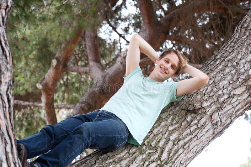 Young Male Relaxing on a Tree Stock Photo - Image of attractive ...