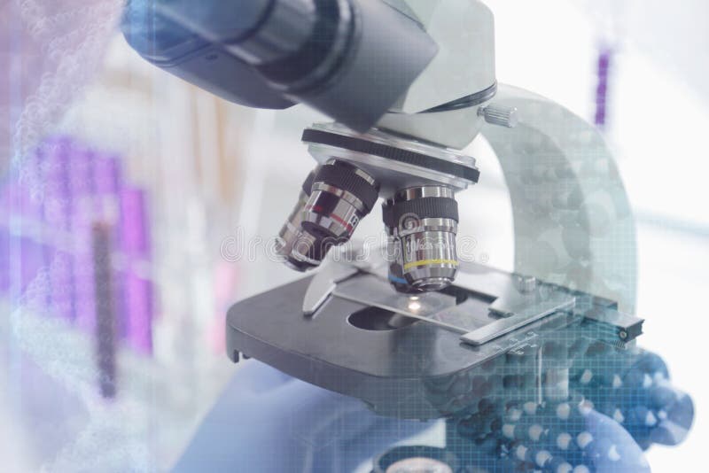 Female Labo Stock Photos - Free & Royalty-Free Stock Photos from Dreamstime