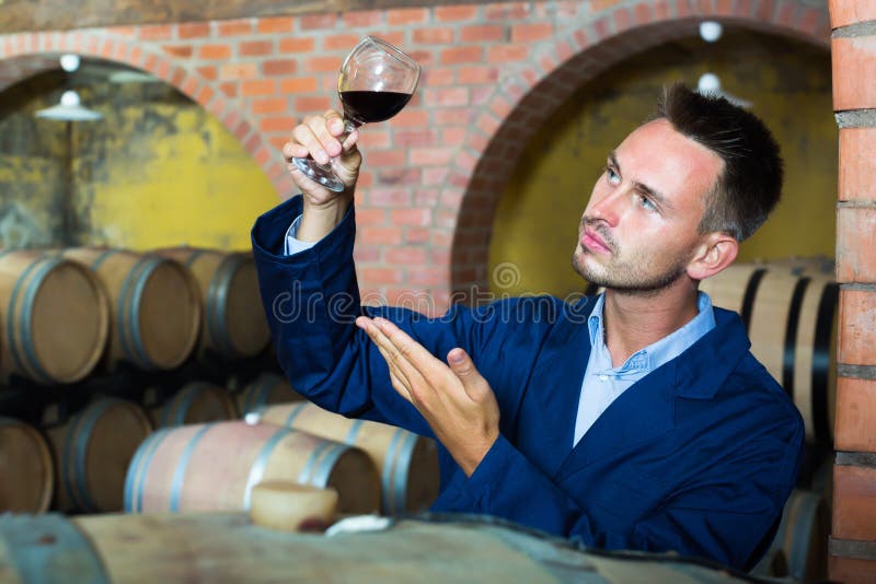 Young Male Winemaker Having Glass of Wine Stock Image - Image of ...