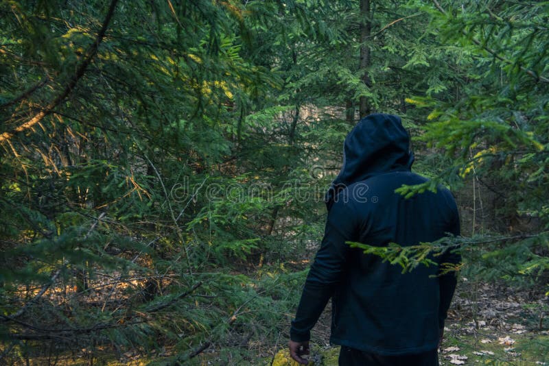 Young Man Alone in the Forest Stock Photo - Image of people, walking ...