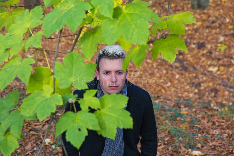 Young Man in Autumn Landscape Stock Image - Image of aerial, european ...