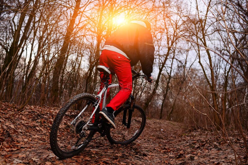Young Man with Backpack Riding Bicycle on Mountain Road in the Forest ...