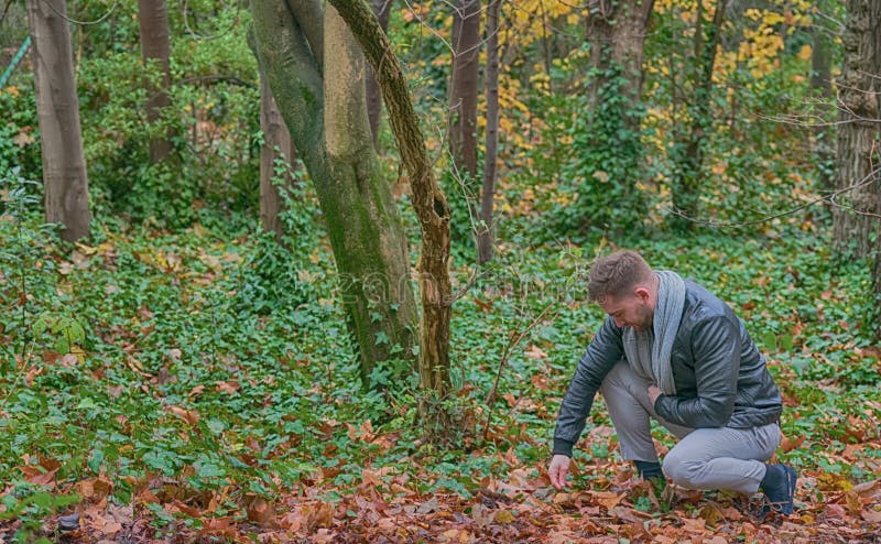 Young Man Bending Down To Pick Up Leaves from the Ground Stock Photo ...