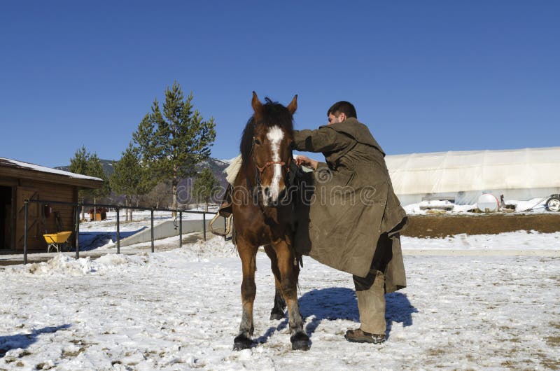 Young Man Climbing on a Horse Back in Front of Barn Stock Photo - Image ...