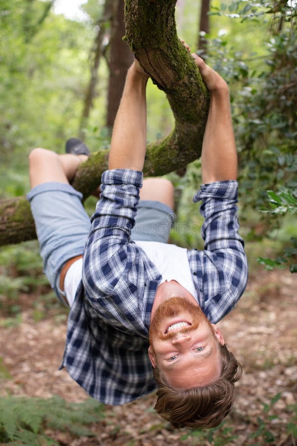Young man climbing in tree stock image. Image of happiness - 257191059