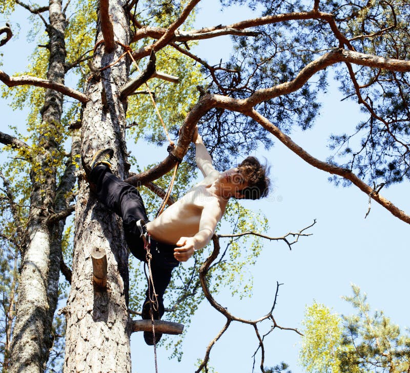 Young Man Climbing on Tree with Rope Stock Photo - Image of blade ...