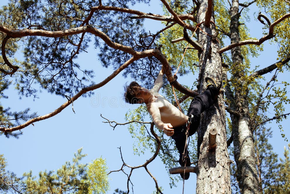 Young Man Climbing on Tree with Rope Stock Photo - Image of wood ...