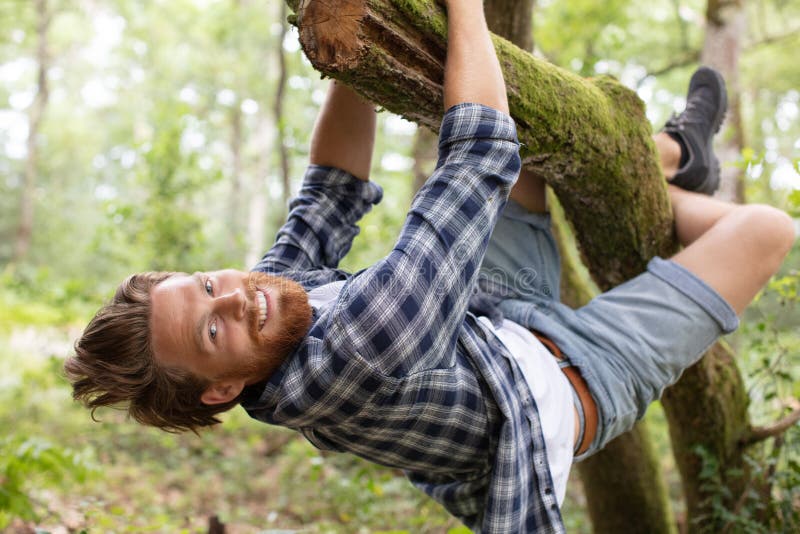 Young man climbing tree stock image. Image of professional - 243558965