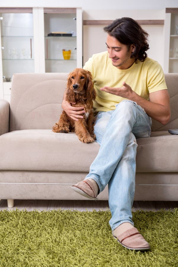 Young Man with Cocker Spaniel Dog Stock Image - Image of care, divorced ...