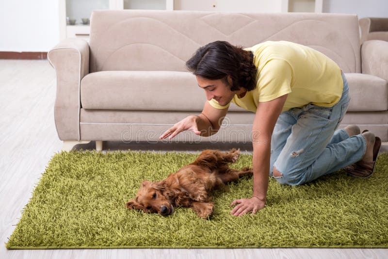 Young Man with Cocker Spaniel Dog Stock Photo - Image of breed, funny ...