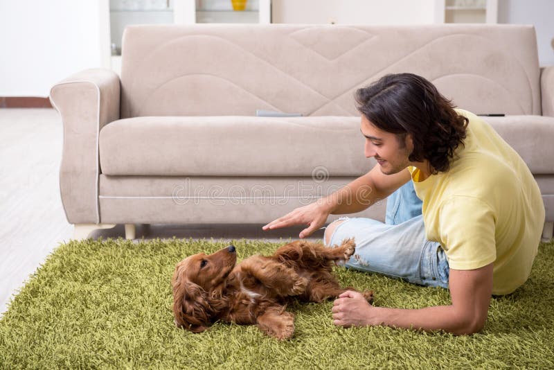 Young Man with Cocker Spaniel Dog Stock Photo - Image of loyalty, care ...